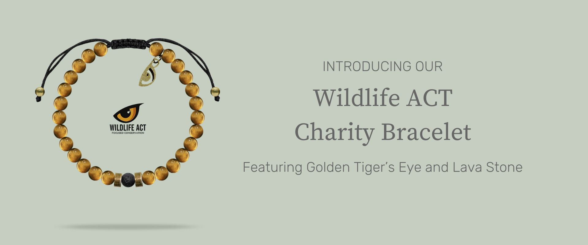Wildlife Charity Bracelets Supporting Global Wildlife Conservation Eff