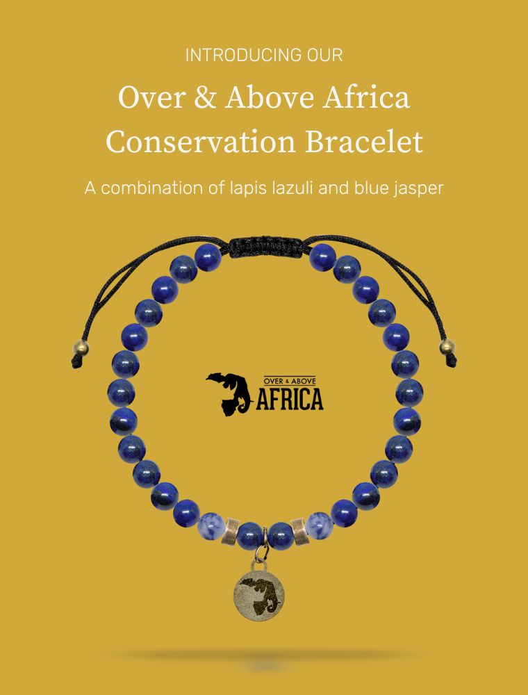 Wildlife Charity Bracelets Supporting Global Wildlife Conservation Eff