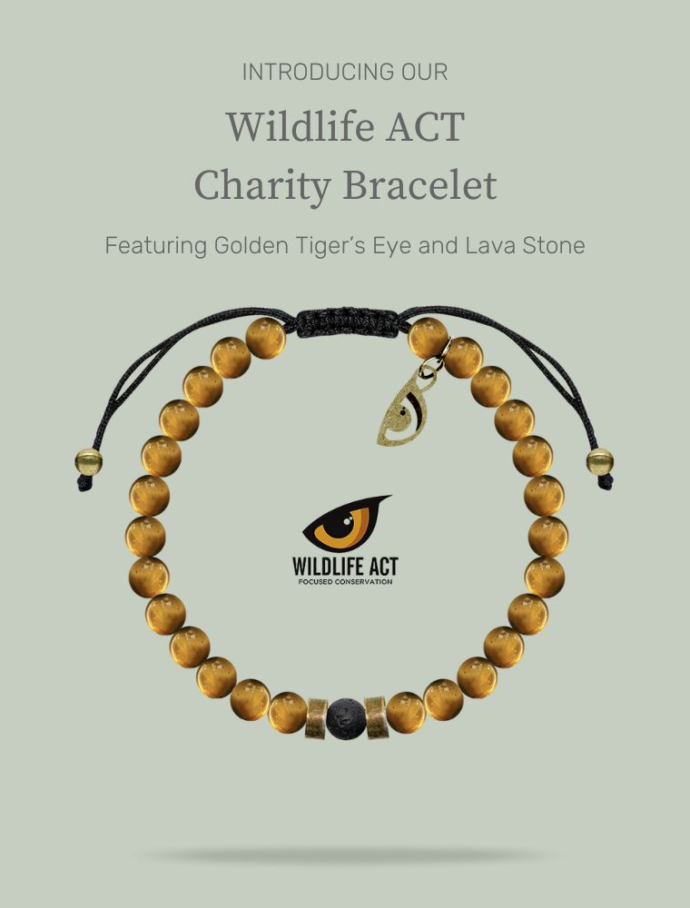 Wildlife Charity Bracelets Supporting Global Wildlife Conservation Eff