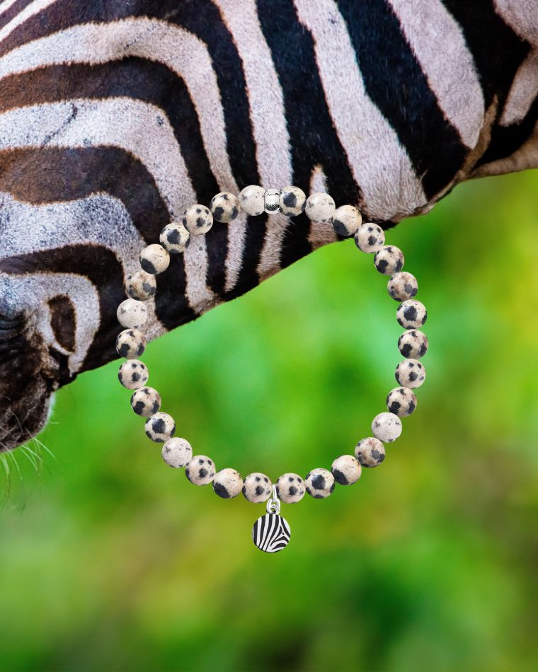 Wildlife Charity Bracelets Supporting Global Wildlife Conservation